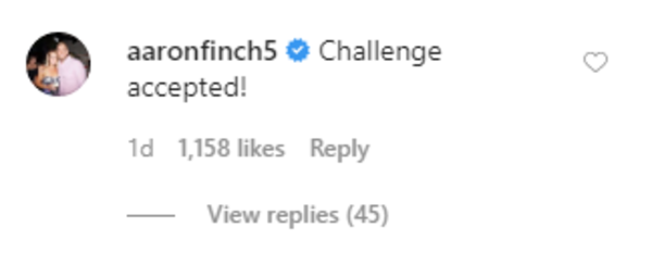 Finch accepts Warner's hilarious challenge on Instagram | Off the field ...