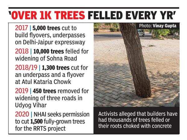 Environmentalists want government to carry out tree census | Gurgaon ...