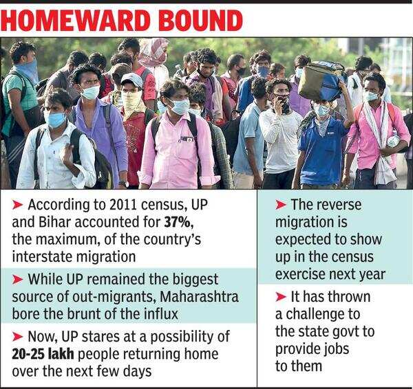 Reverse migration to hit UP’s demographic profile | Lucknow News ...