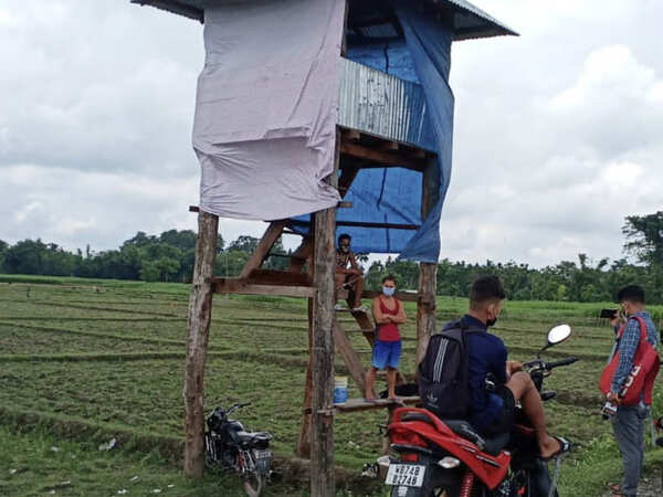 Covid-19: Brothers quarantined in elephant watchtower in West Bengal's ...