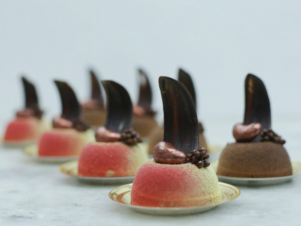 The Chocolate Story - Times of India