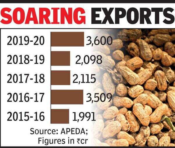 Gujarat’s groundnut exports grow by 57% | Ahmedabad News - Times of India