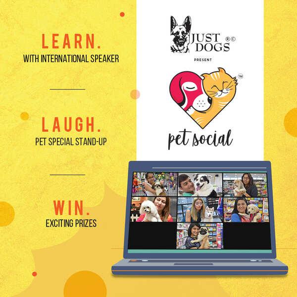 When dogs and cats socialised on the web with fun games and more ...