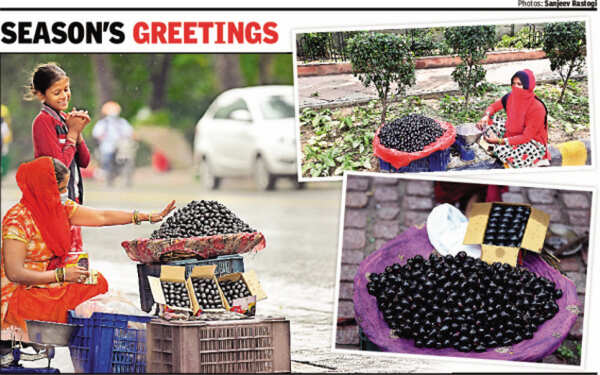 Delhi: When tongue craves for something deep purple, jamun is worth its ...