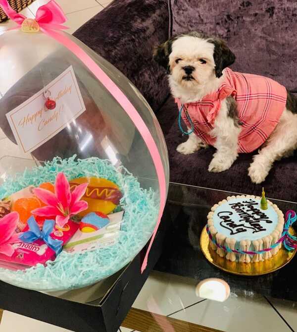 It's birthday time for Deepika Das' pet Candy - Times of India