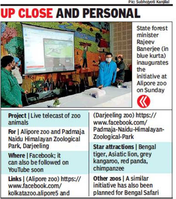 West Bengal catch up on your zoo faves from comfort of home | Kolkata ...
