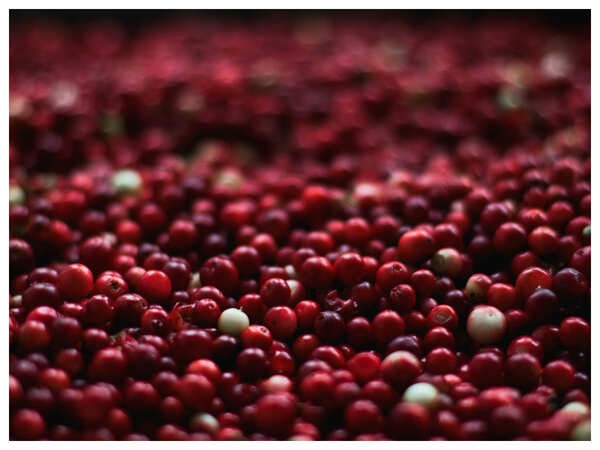 Cranberries can naturally cure gastro problems: Study - Times of India
