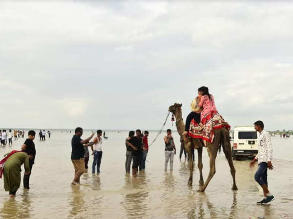 Barmer: A beachy wonder in the middle of desert | Jodhpur News - Times ...