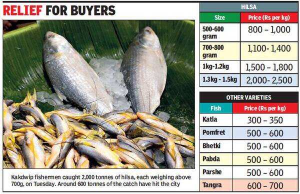 Hilsa catch drives down other fish rates in Kolkata | Kolkata News ...