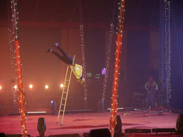 The iconic Rambo Circus goes digital; to perform online amid the ...