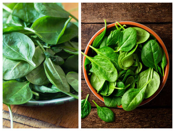 Why spinach is good for health and environment - Times of India