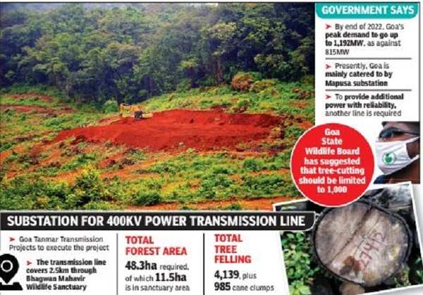 Inside Mollem, a biodiversity paradise fights for survival | Goa News ...