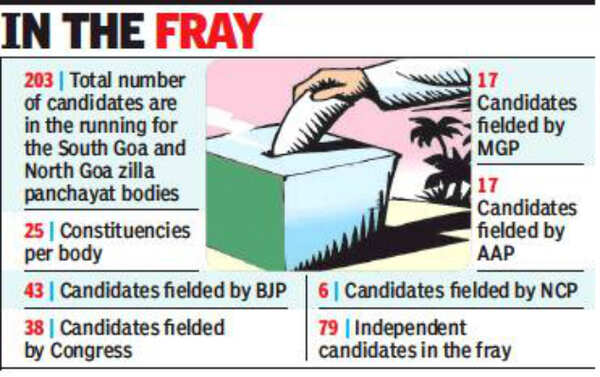 Hold Zilla Panchayat Polls By End Nov Or Early December Goa Govt Goa
