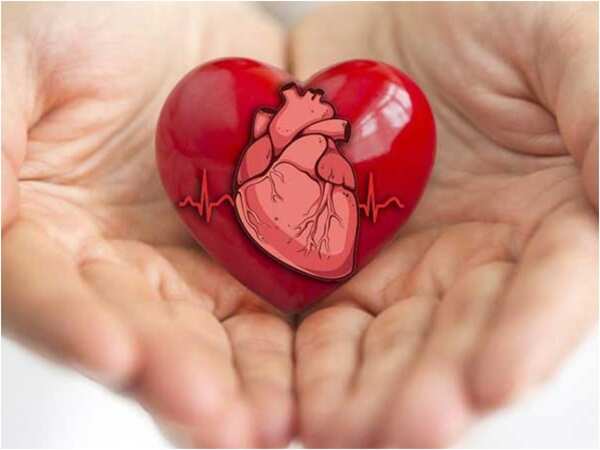 Here's your guide to a healthy heart - Times of India