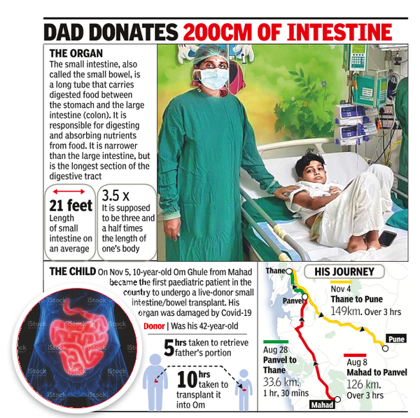10-yr-old has world’s first paediatric living donor small bowel ...