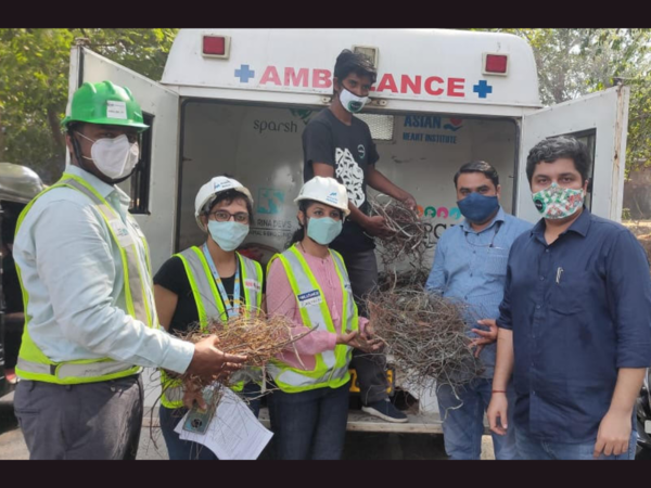 Thane metro line - 4 : 97 trees found with 122 nests | Thane News ...