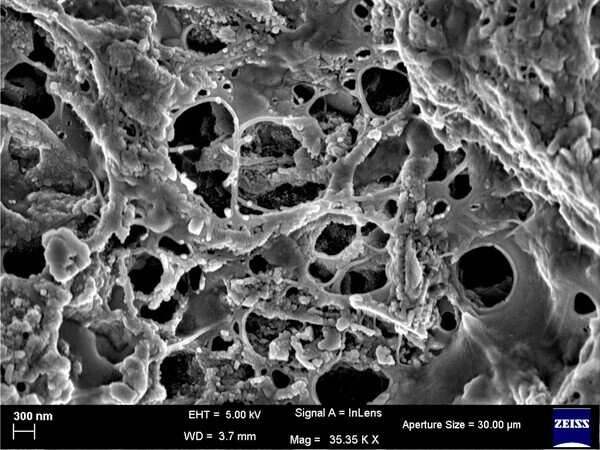 New evidence pushes back by 30,000 years first use of fire in India ...