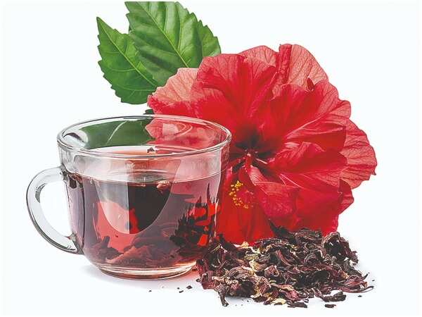 Teas that heal this season - Times of India