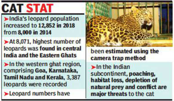 From 71 in 2014, Goa’s leopard population up to 86 in 2018 census | Goa ...