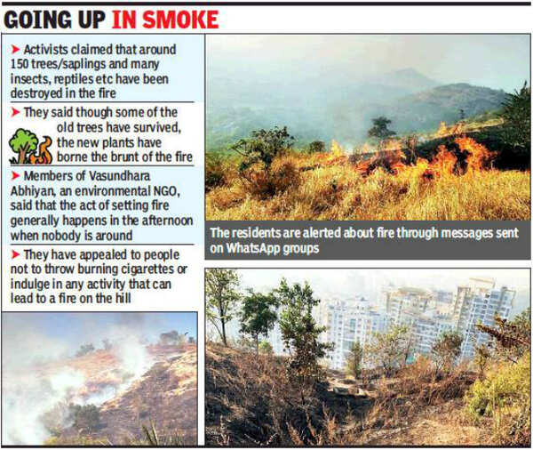 Frequent fires on Pune's Baner hill wreak havoc on local flora and ...