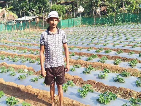 In a first for North Goa, farmer grows strawberries in Sattari | Goa ...