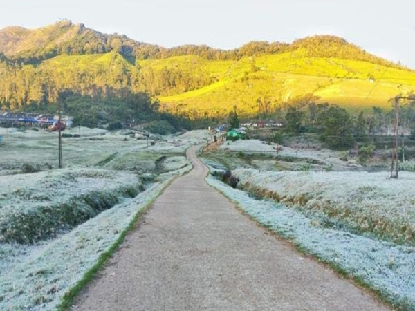 Munnar Temperature: Munnar missed winter in January first week, now ...