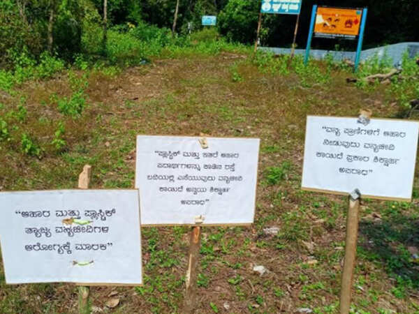 Karnataka: Feeding monkeys, littering Ghats will cost you more than ...