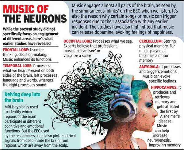 Two brains listen to 1 song differently! | Ahmedabad News - Times of India