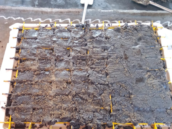 Goa: Cane farmer turns ‘swayampurna’, starts jaggery unit after ...