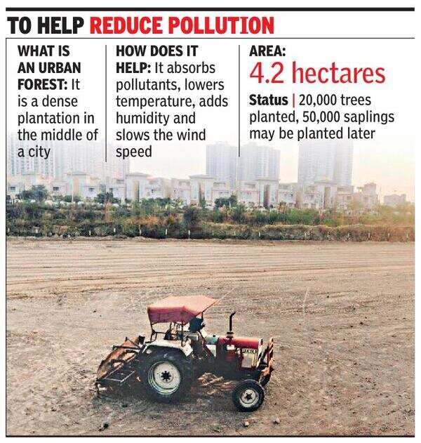 Barren for months, this plot will turn into Noida’s first urban forest ...