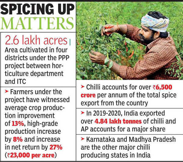 AP chilli hub News: Plans afoot to make AP global chilli hub ...