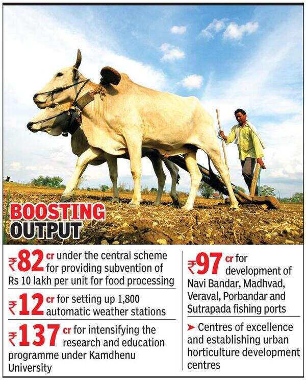 Govt announces scheme to turn fallow land fertile | Ahmedabad News ...