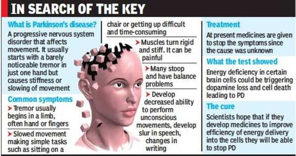 ‘Energy loss in brain cells may trigger Parkinson’s’ | Chennai News ...