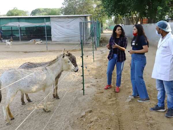 Swara Bhasker takes ailing stray dog to rescue and treatment centre in ...