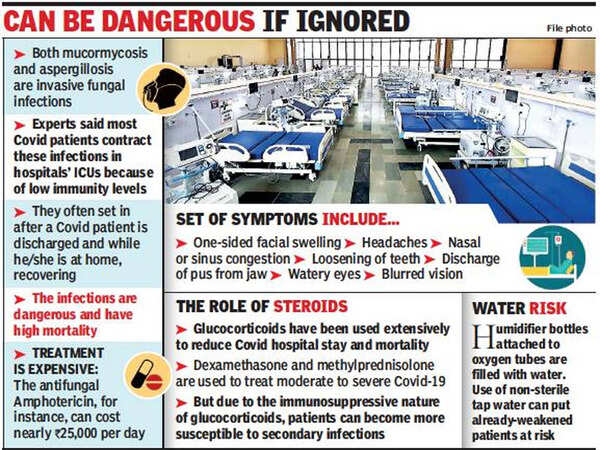 Diabetes-Covid-steroids mix causing increase in fungal infections ...