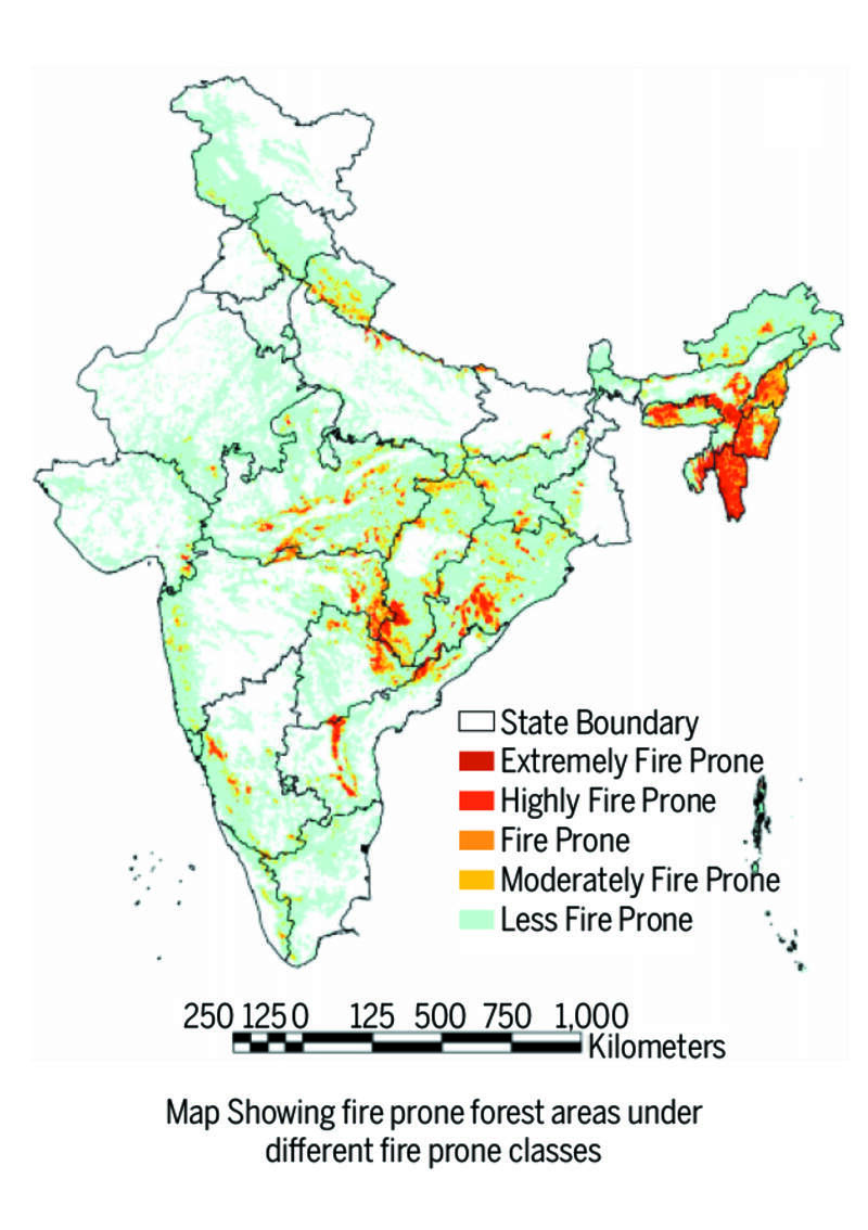 As forest fires rage, India still looking for solutions - Times of India