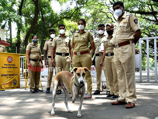 Raja: Meet Special Police Officer Raja, the vigilant dog that’s helping ...