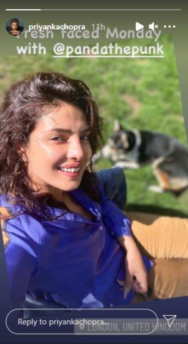 Priyanka Chopra Jonas shares a fresh picture as she enjoys a sunny day ...