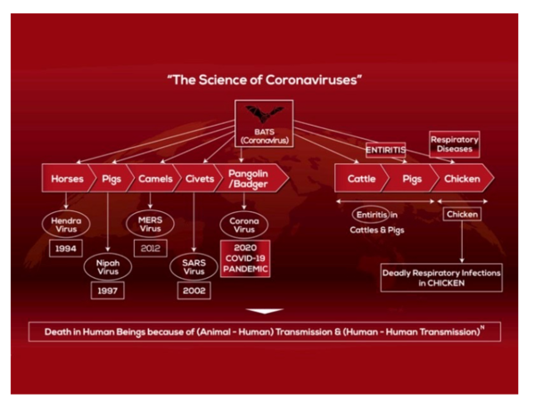 COVID 19 :Not from a Lab ! Animal Virus Again ! - Times of India