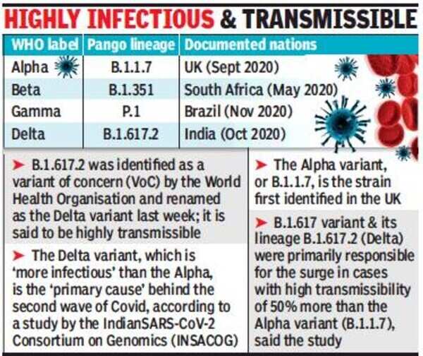 Virulent Delta variant caused deadly second wave in Rajasthan | Jaipur ...