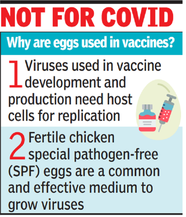 Venky's: Company sells special eggs for vaccine, strikes it rich ...