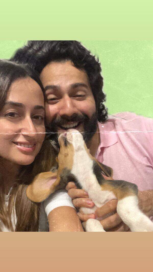 Varun Dhawan shares adorable pictures with wifey Natasha Dalal and ...