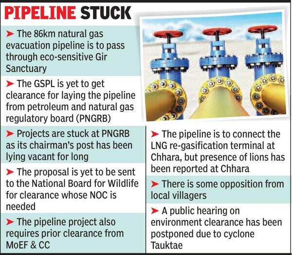 Chhara LNG project pipeline faces challenge in lion landscape ...