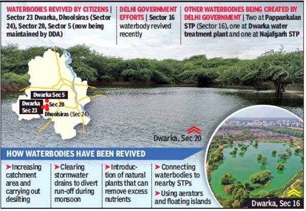 Sub-city of lakes? Hope floats in Delhi's Dwarka | Delhi News - Times of India