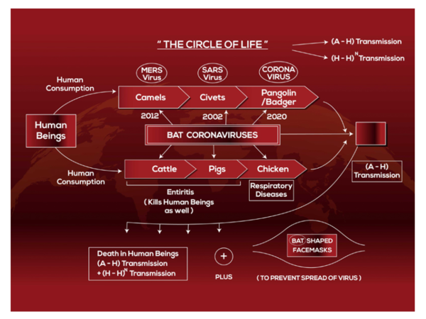 COVID 19 "Why we need each other!" - Times of India