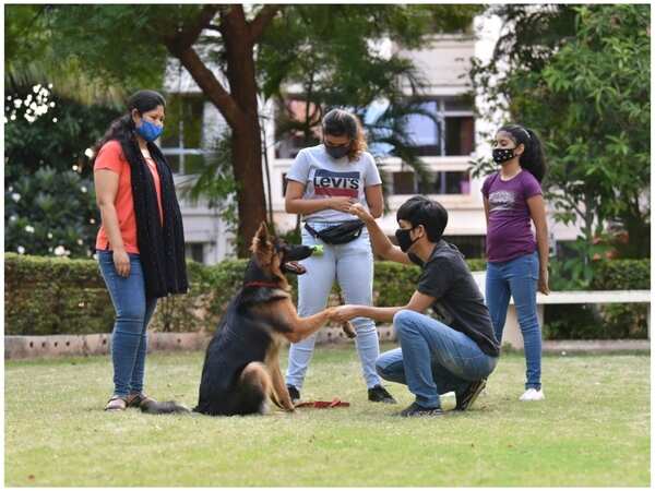 Demand for dog trainers rises as pawrents seek help for their pandemic ...