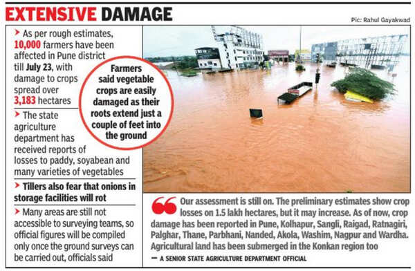 Floods cause crop losses on 1.5 lakh hectares in Maharashtra | Pune ...