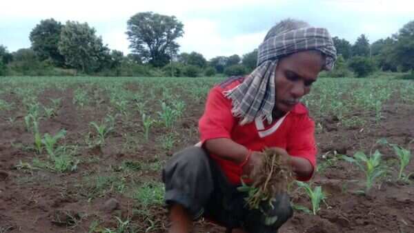 Karnataka: Dwarf athlete struggles to make ends meet | Hubballi News ...