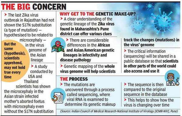 National Institute of Virology to isolate, sequence Zika virus to trace ...
