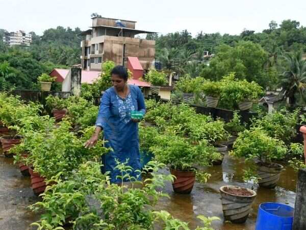 Jasmine Flower Farm In Karnataka | Best Flower Site